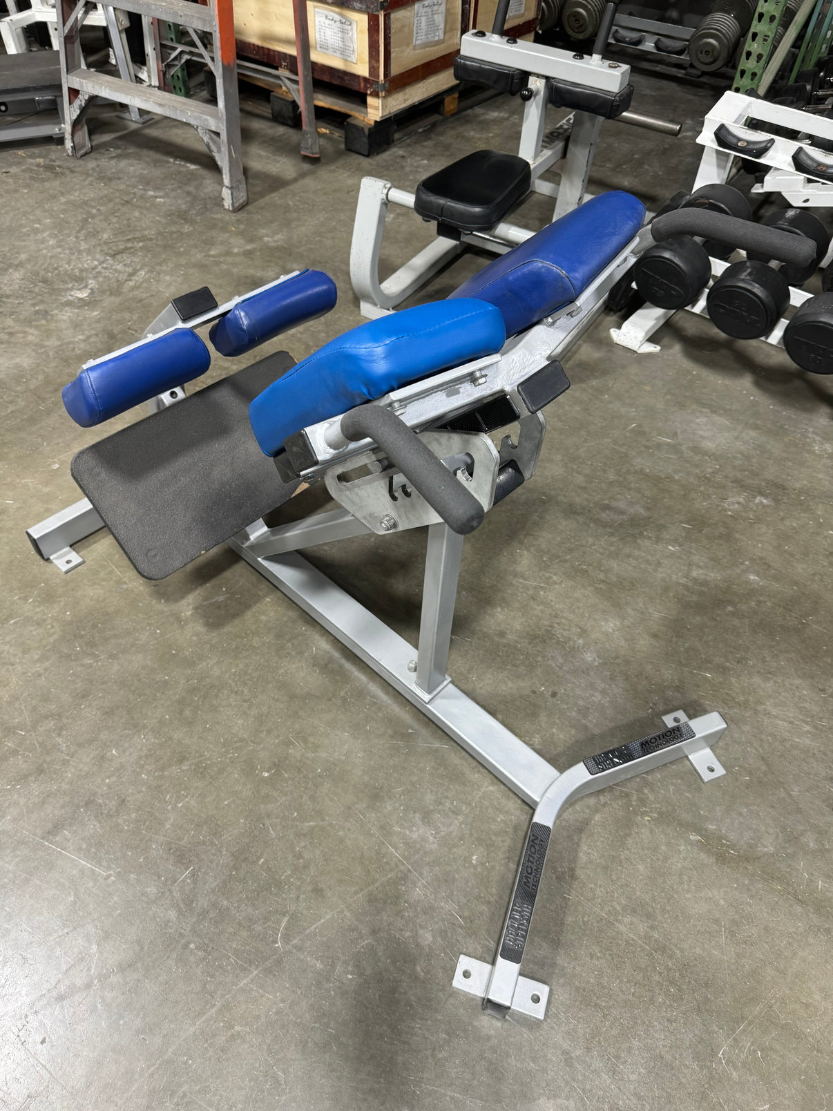 Hammer Strength 45 Degree Hyperextension Back Extension Bench – Midwest ...