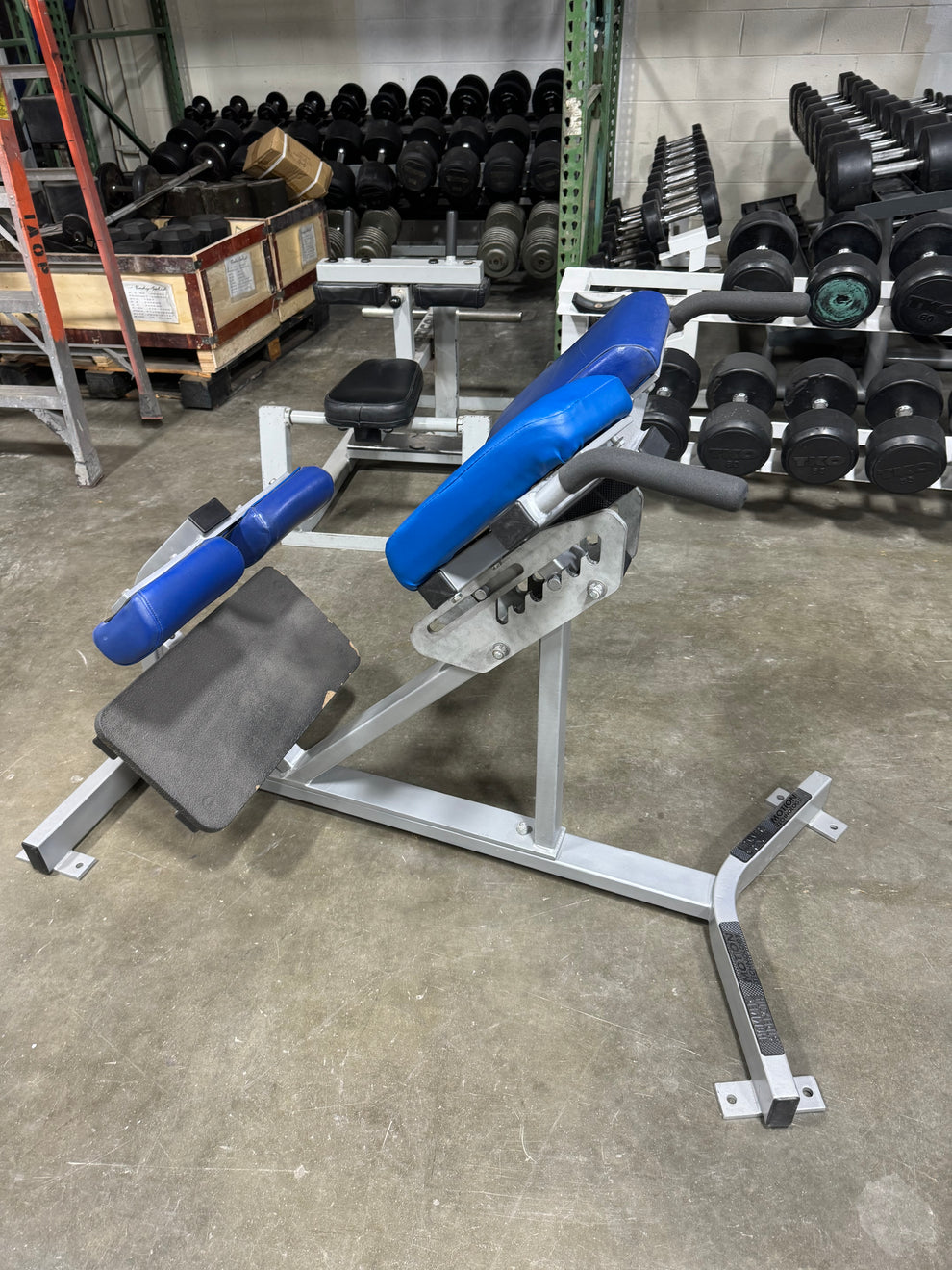 Hammer Strength 45 Degree Hyperextension Back Extension Bench – Midwest ...